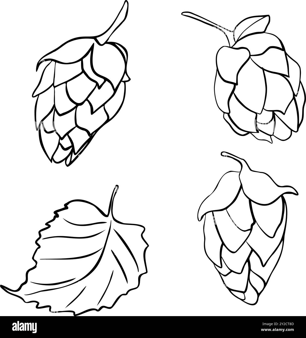 Hop cones and leaves in set black white line contour vector ...
