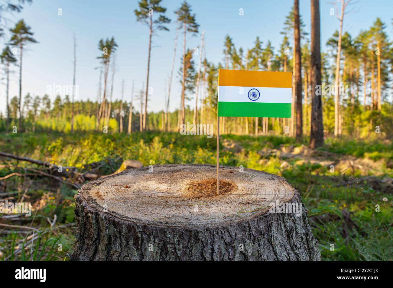 UN Climate Change Conference. India Deforestation. Ecological disaster ...