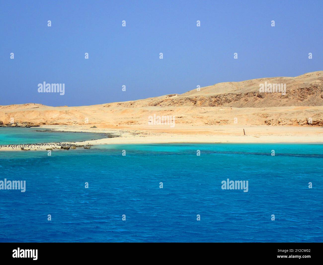 view from sea boat in Egypt red sea Stock Photo - Alamy