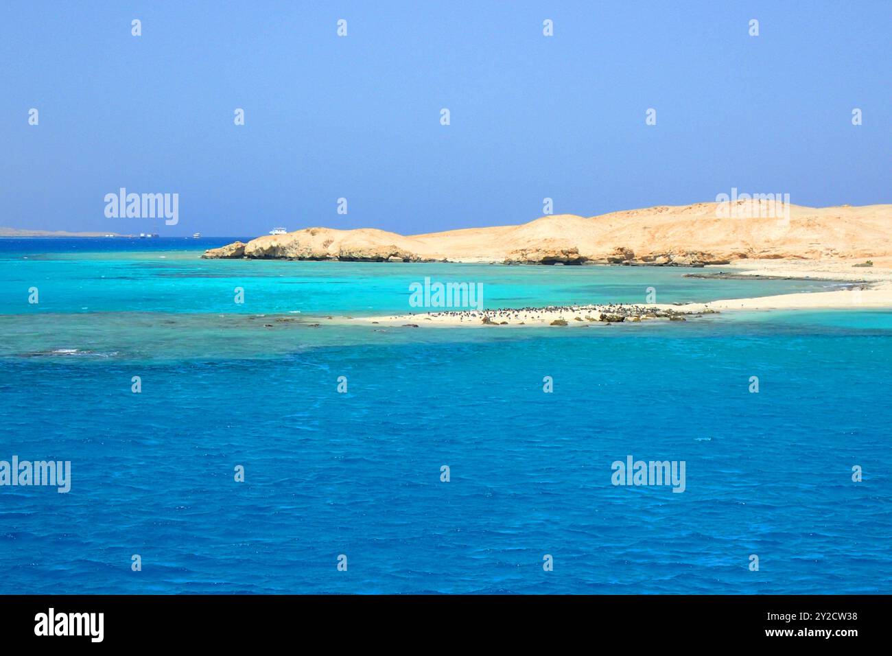 view from sea boat in Egypt red sea Stock Photo - Alamy