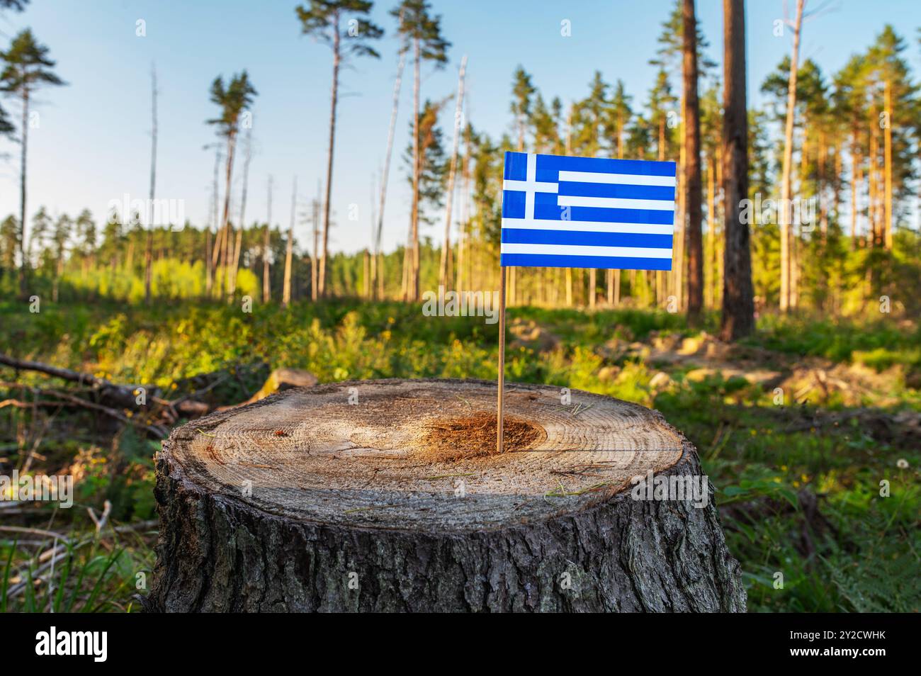 UN Climate Change Conference. Greece Deforestation. Ecological disaster ...