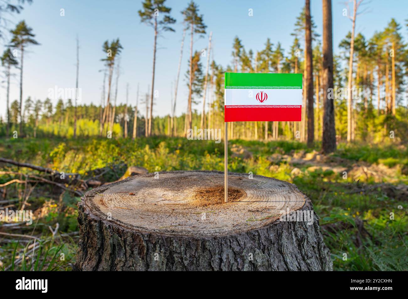 UN Climate Change Conference. Iran Deforestation. Ecological disaster ...