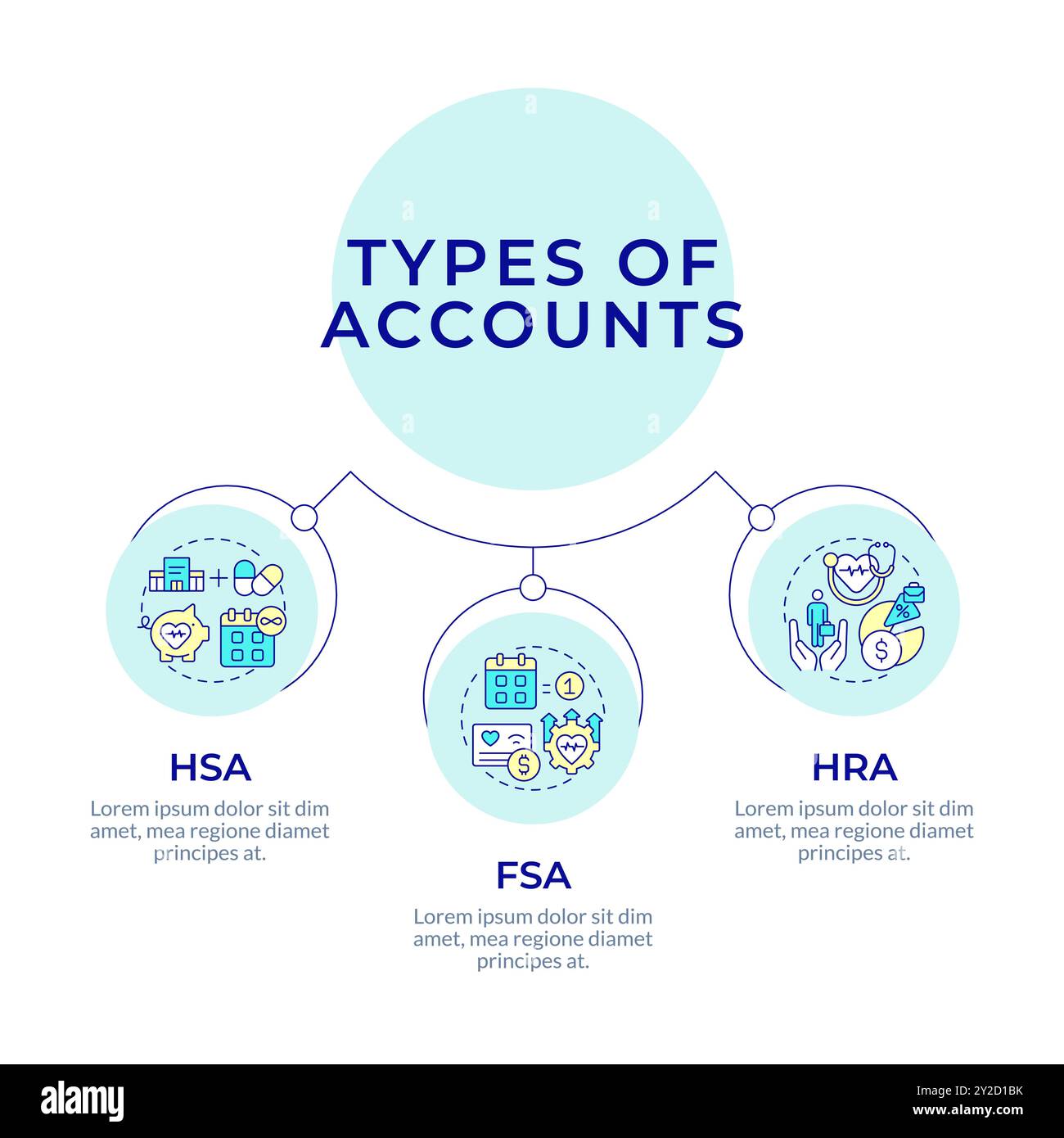 Types of health accounts circular diagram infographic Stock Vector ...