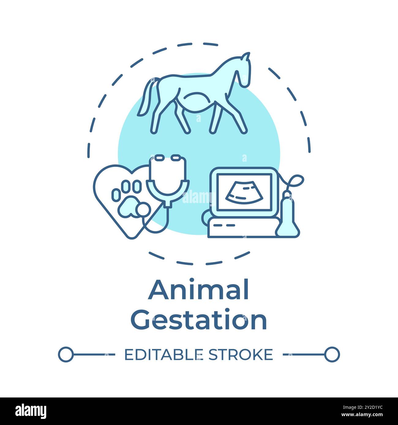 Gestation control hi-res stock photography and images - Alamy