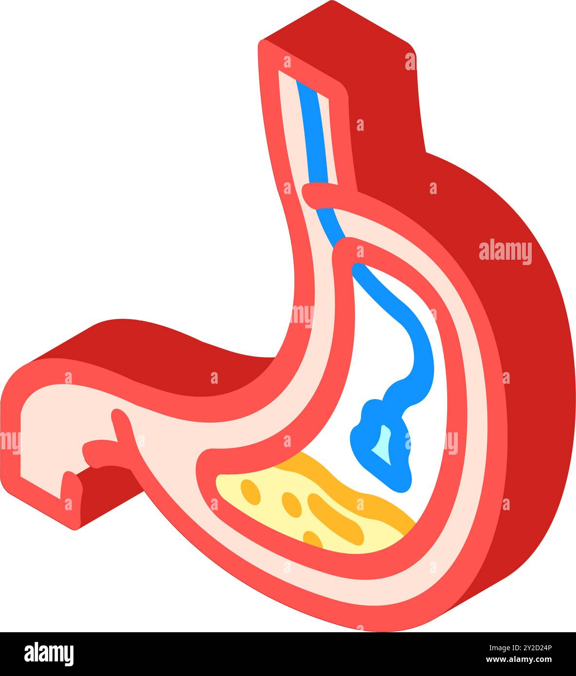 Endoscopy 3d Cut Out Stock Images & Pictures - Alamy