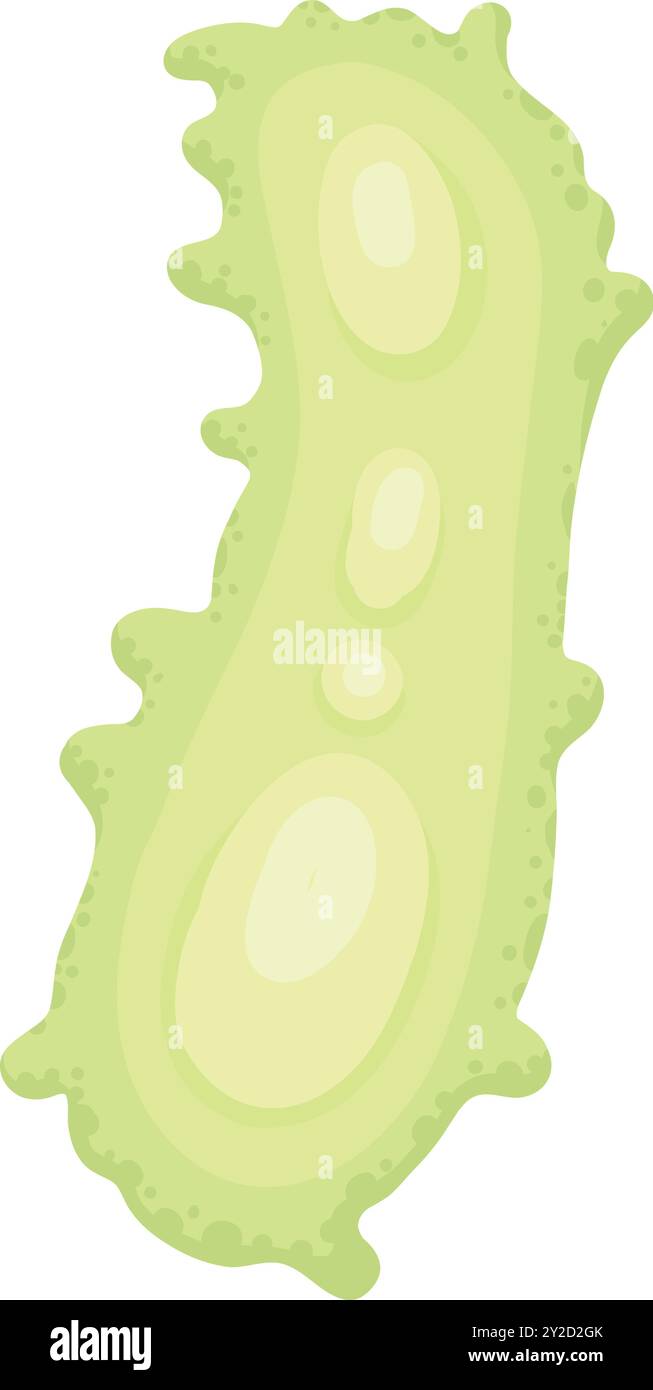 Cartoon bacteria. Biological virus and infectious bacterias. Microbe ...