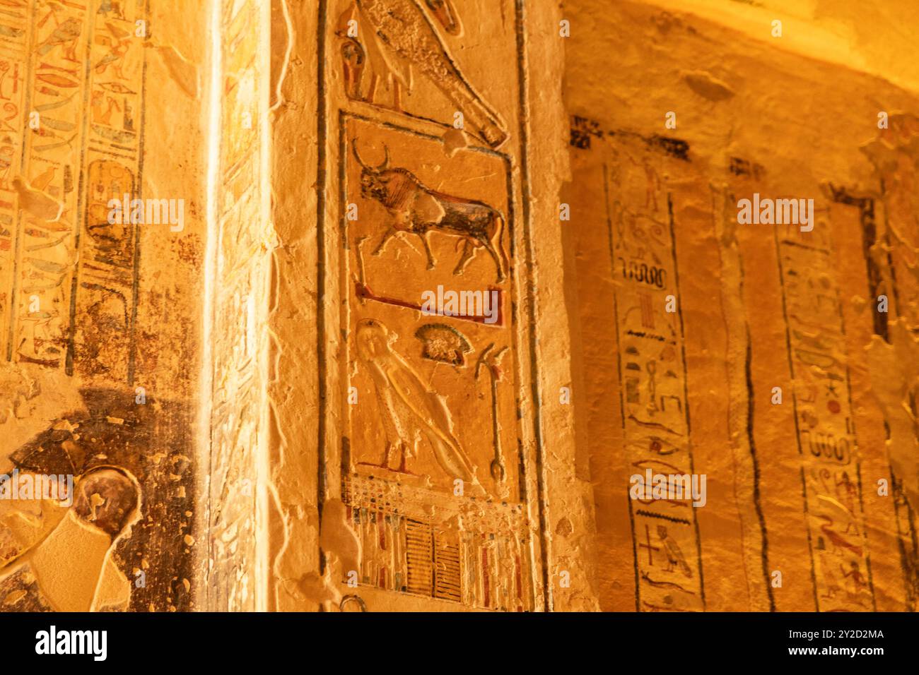 Luxor, Egypt; January 16, 2024: Journey back in time with these ancient ...