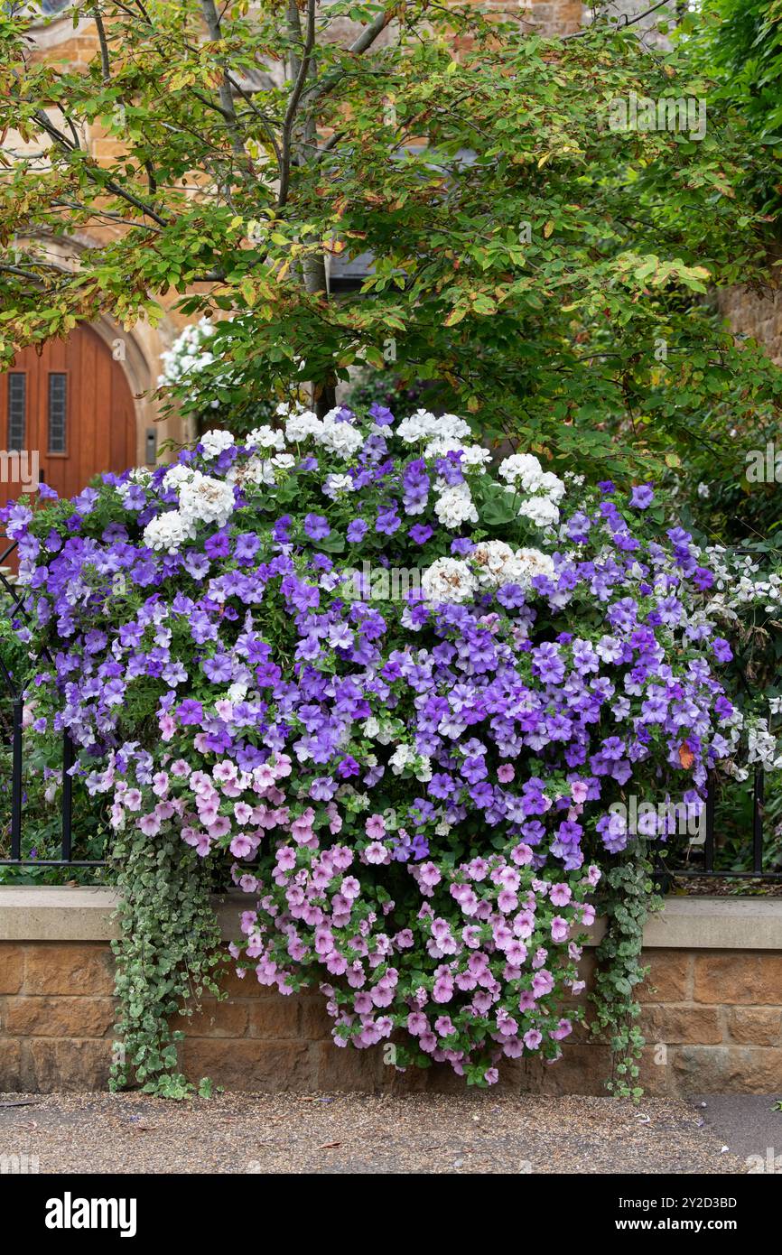 Annual flower display hi-res stock photography and images - Alamy