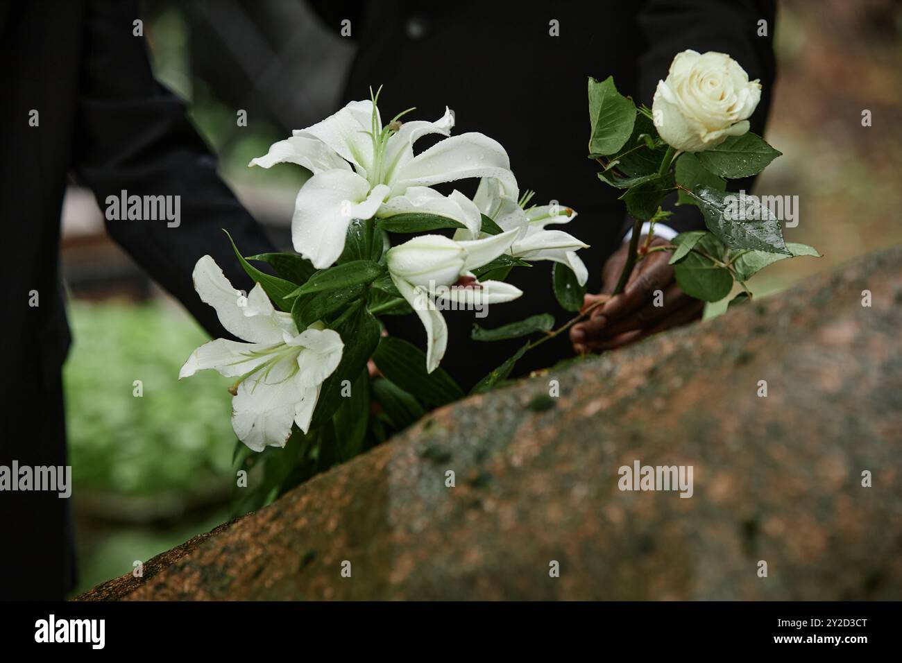Close up on rain wet white lilies and rose in hands of two ...