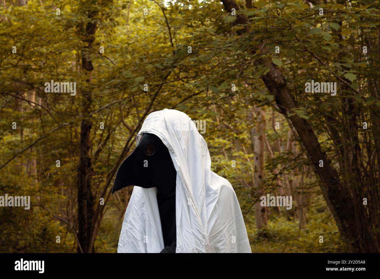 A horror ghost with a plague mask and white sheet. Standing in a forest ...