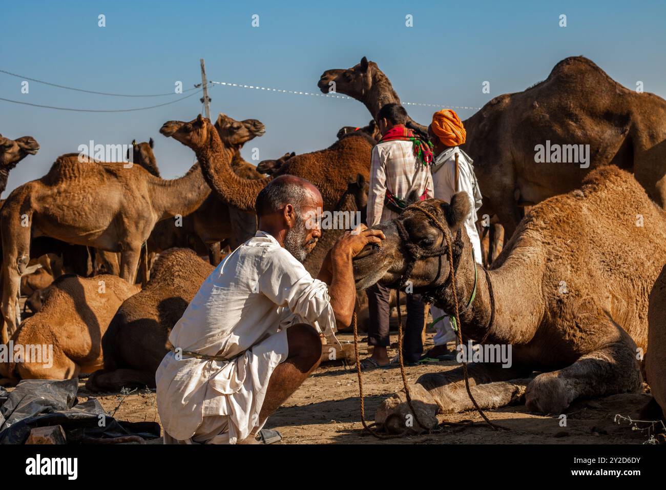 Pushkar Mela India Stock Photo - Alamy