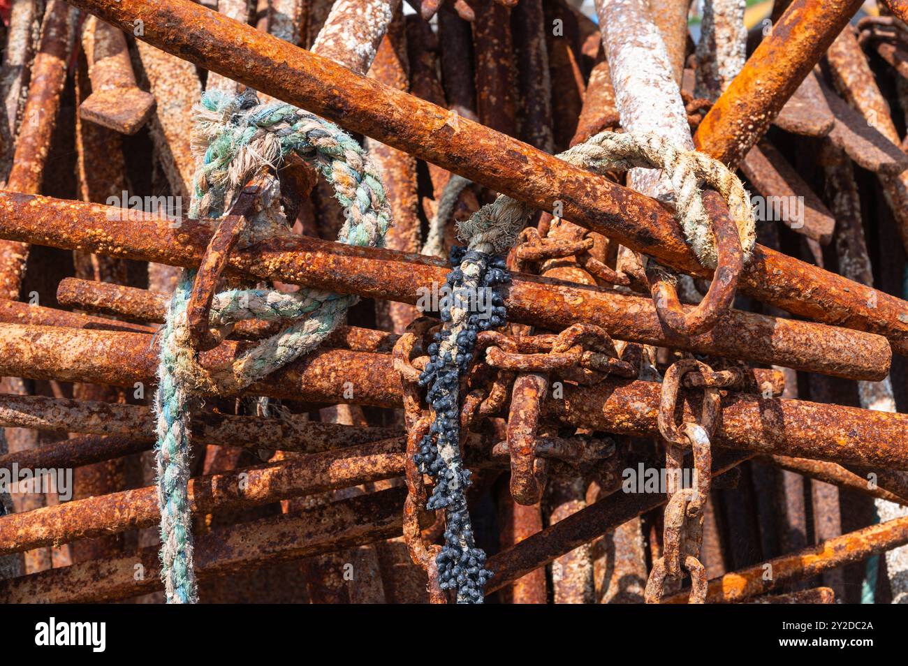 A stack of rusty steel anchors with ropes, chains and barnacles on the ...