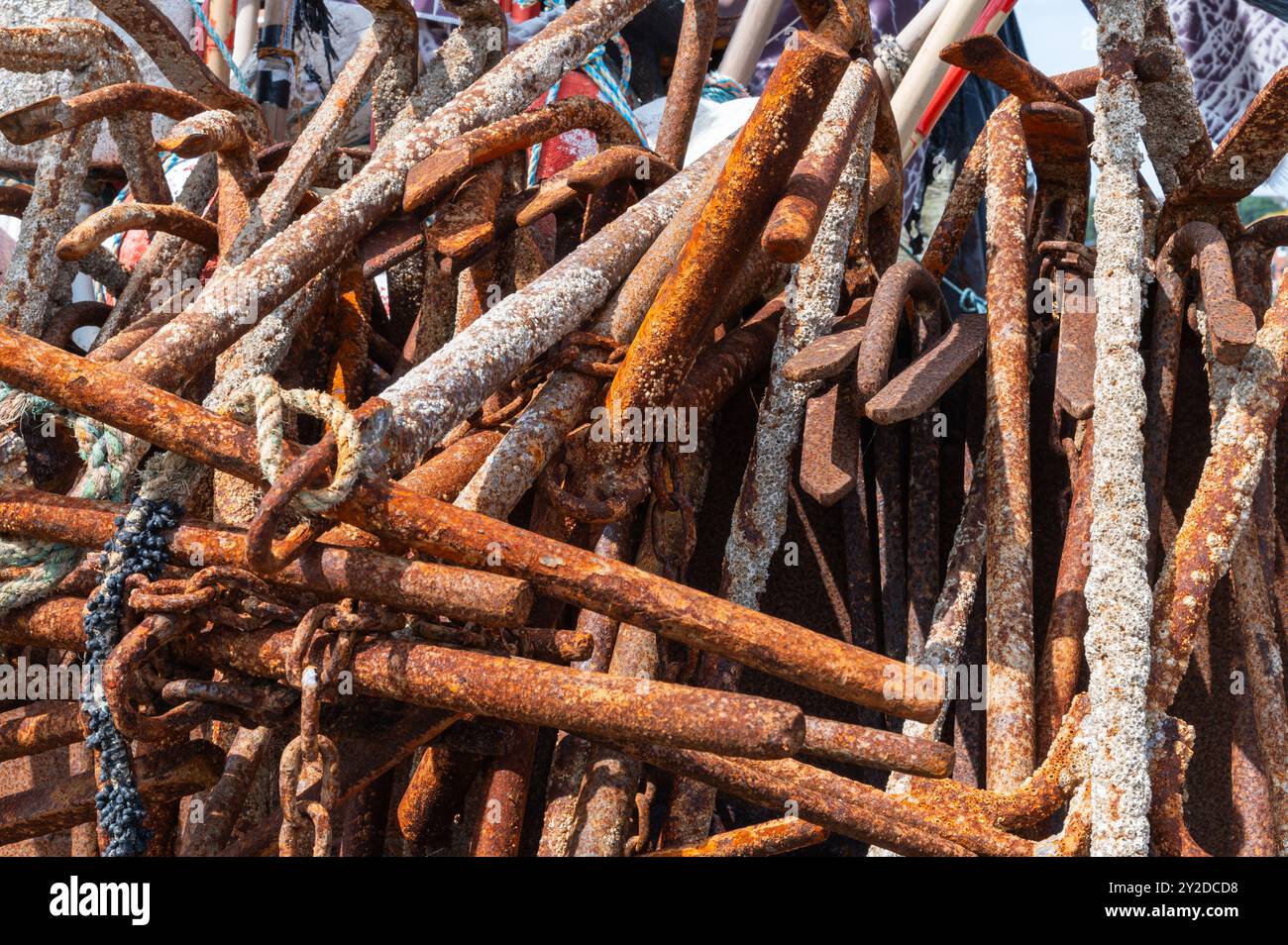 A stack of rusty steel anchors with ropes, chains and barnacles on the ...