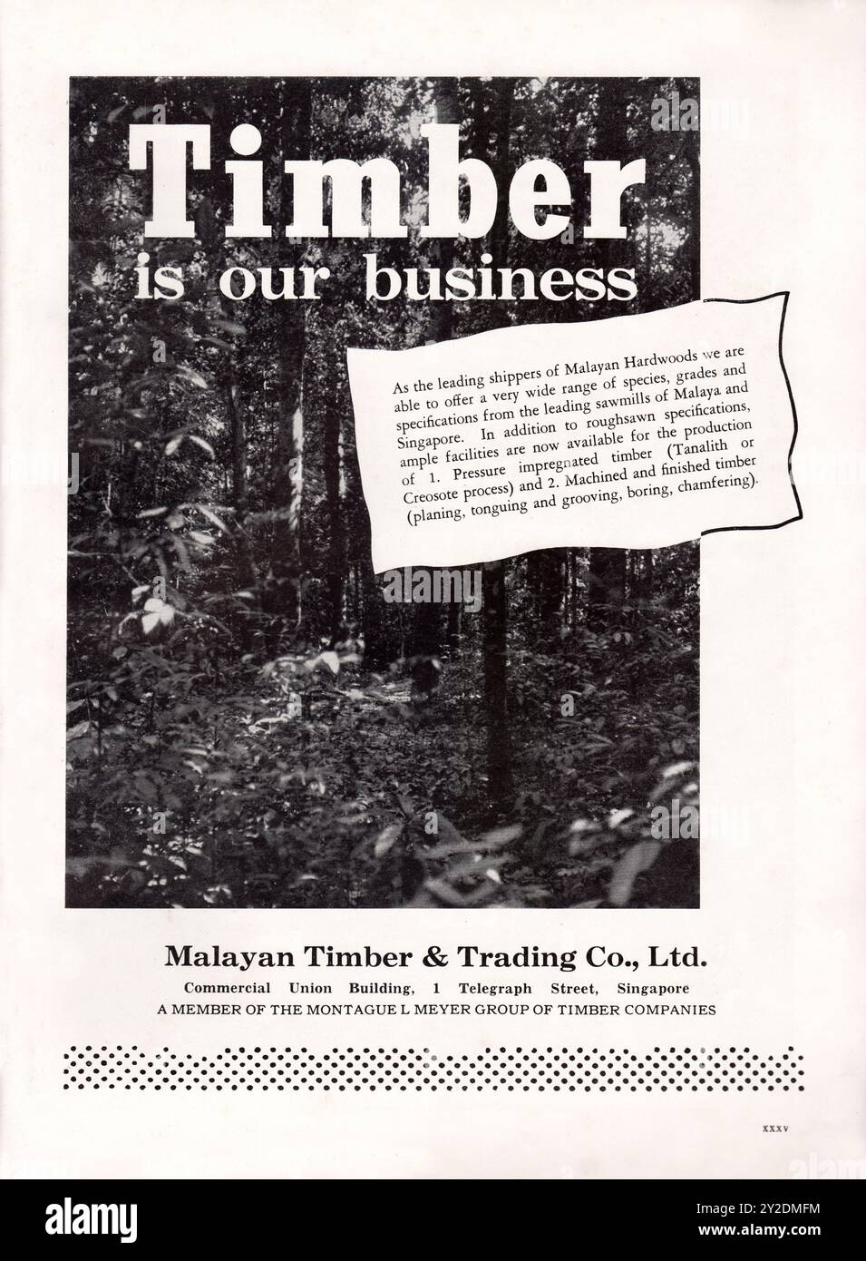 Old Vintage Malayan Timber & Trading Company Advertisement in the ...