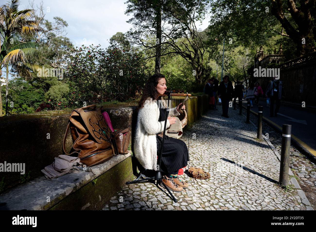 Street performer strums a traditional instrument, adding to the vibrant ...