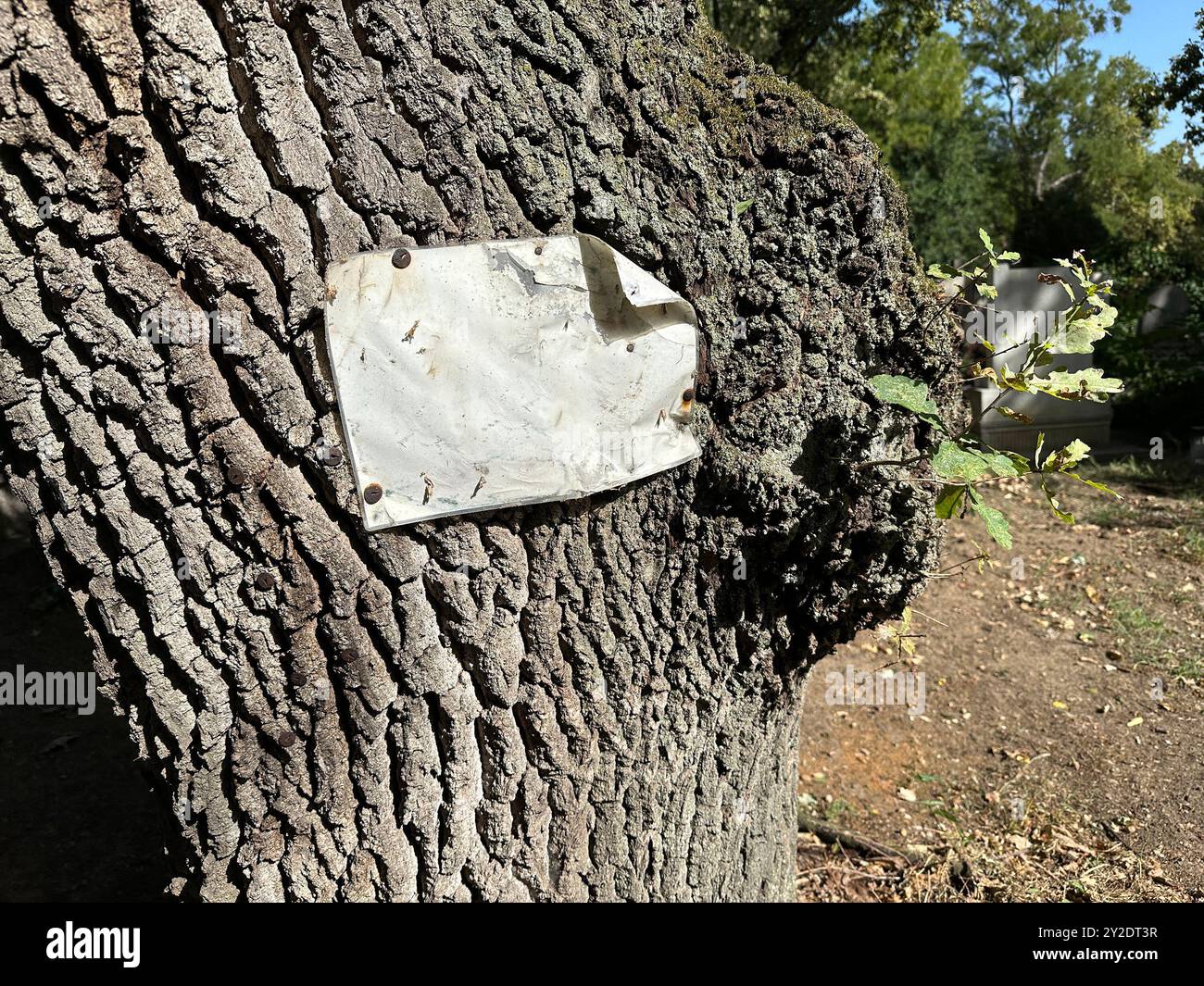 Advertisement on a tree hi-res stock photography and images - Alamy