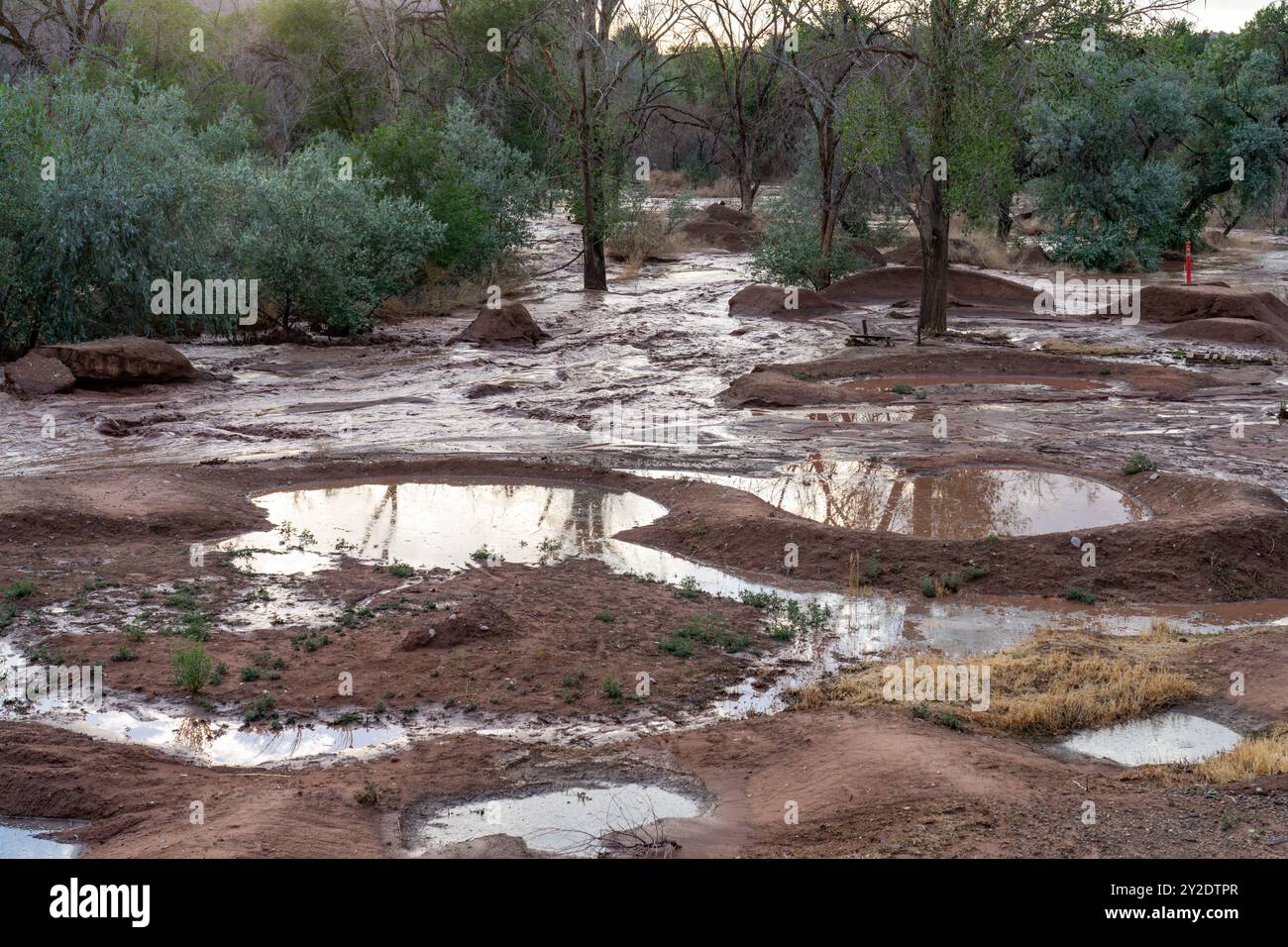 Flash flooding in the BMX bike park after a summer rain storm in Moab ...