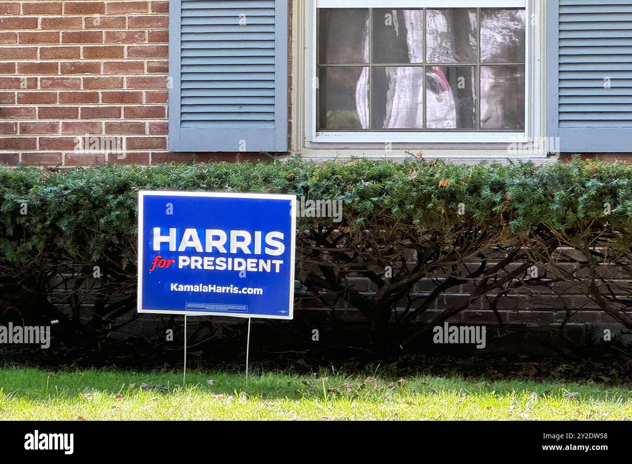 Political Yard Signs, private election posters, for the upcoming ...