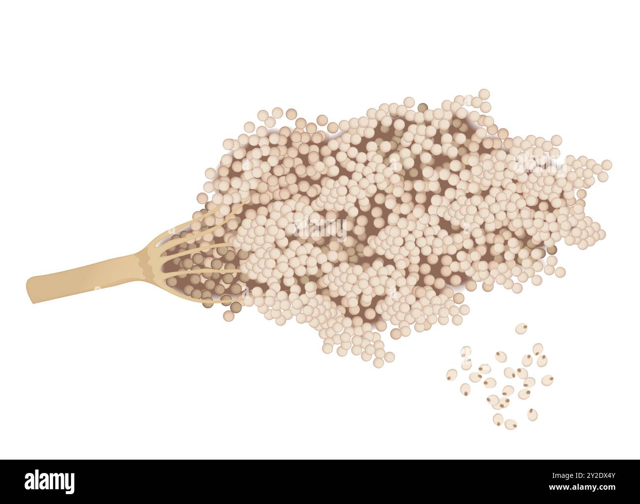 Detailed vector illustration of a sorghum plant, showcasing the grains ...