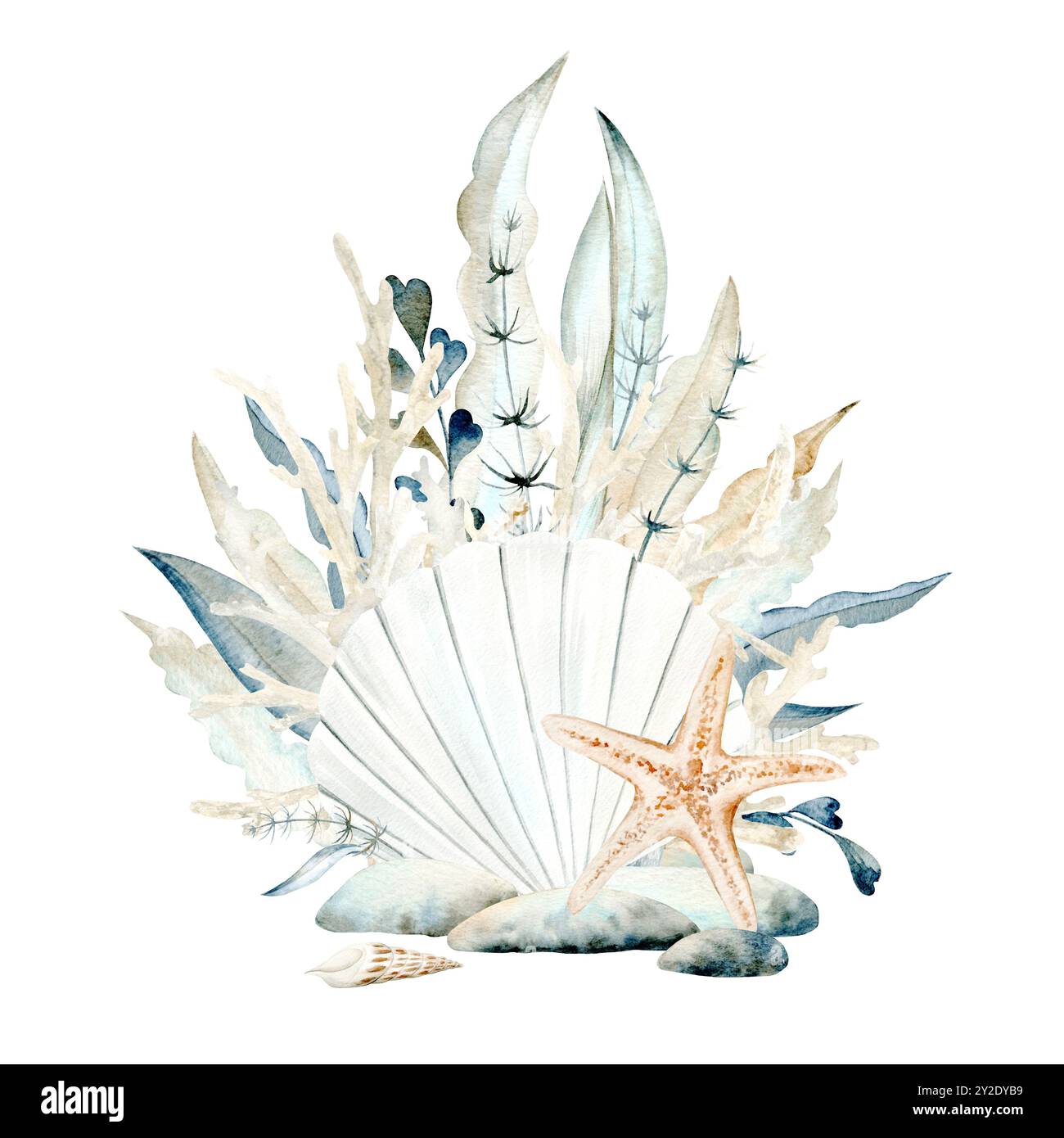 Composition of starfish and shells, pebbles and seaweed watercolor ...