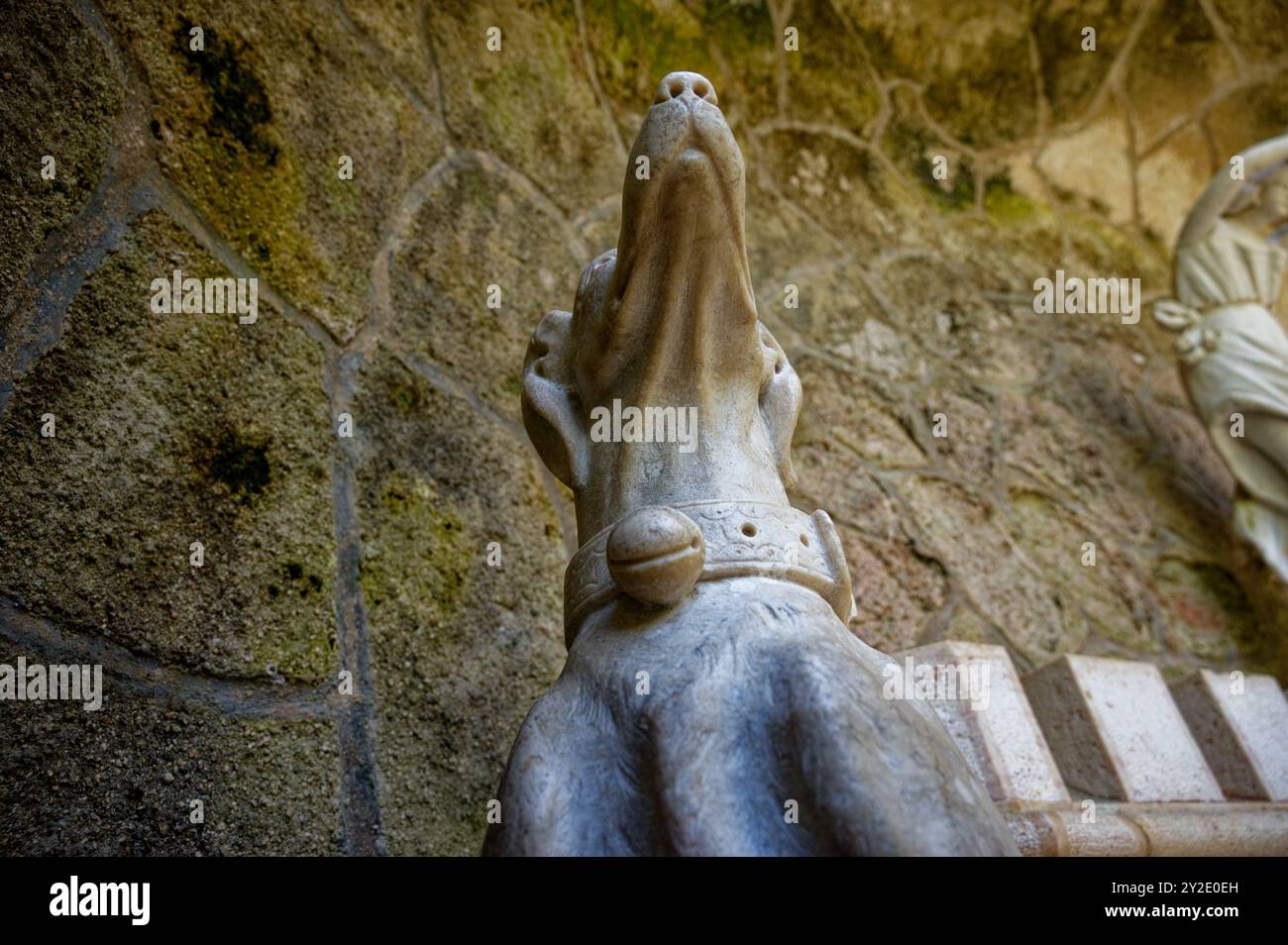 Marble statue of a regal dog gazing upwards Stock Photo - Alamy