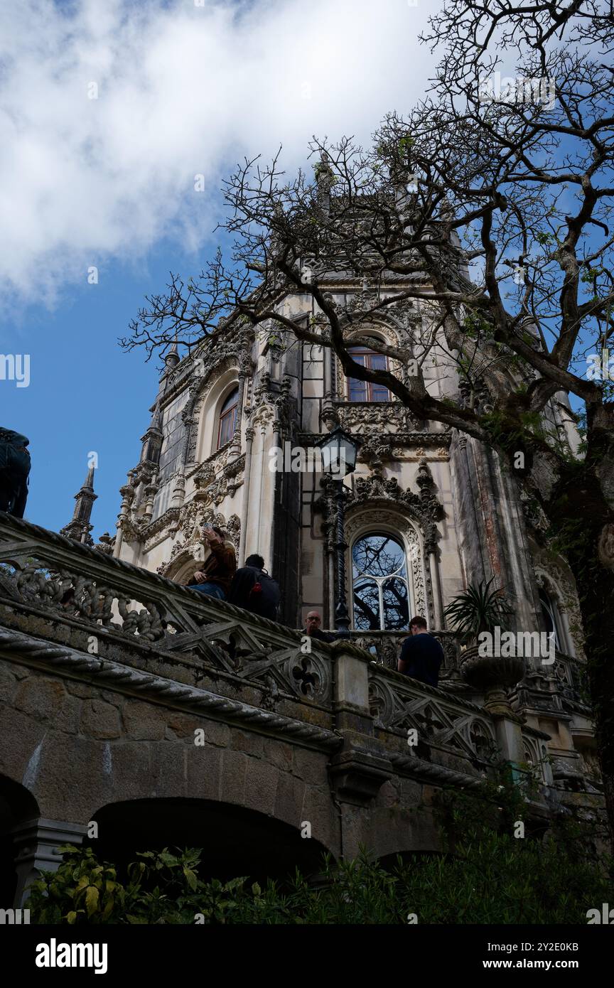 Ornate Gothic tower facade framed by branches in Quinta da Regaleira's ...