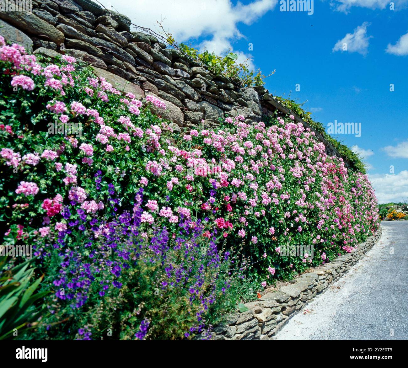 Trockenmauer in einem garten hi-res stock photography and images - Alamy