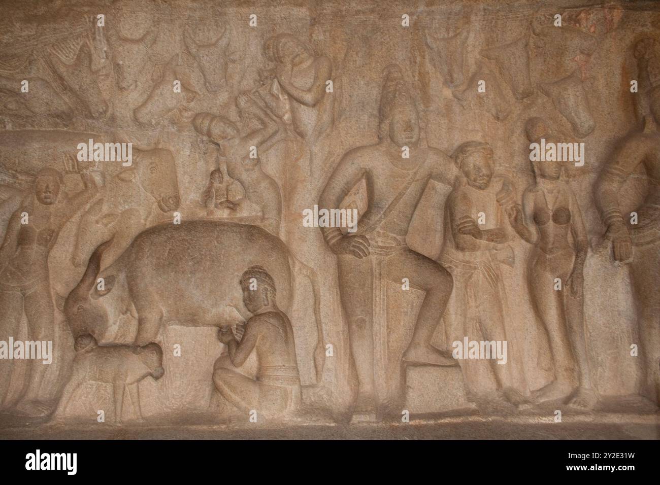 Rock carvings, The Varaha Cave; Mahaballipuram, Tamil Nadu, India, Asia ...