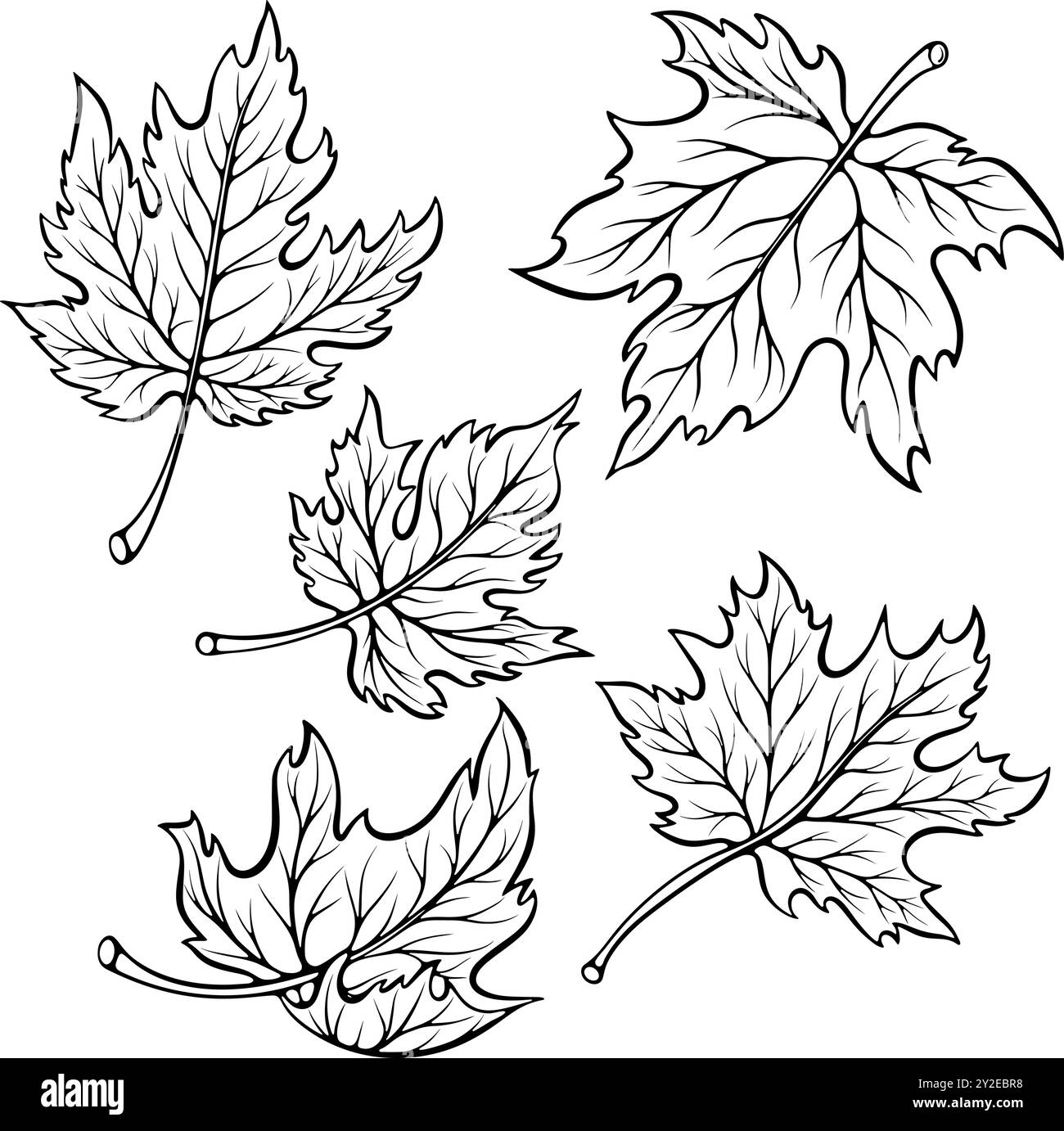 Maple tree leaf book Black and White Stock Photos & Images - Alamy