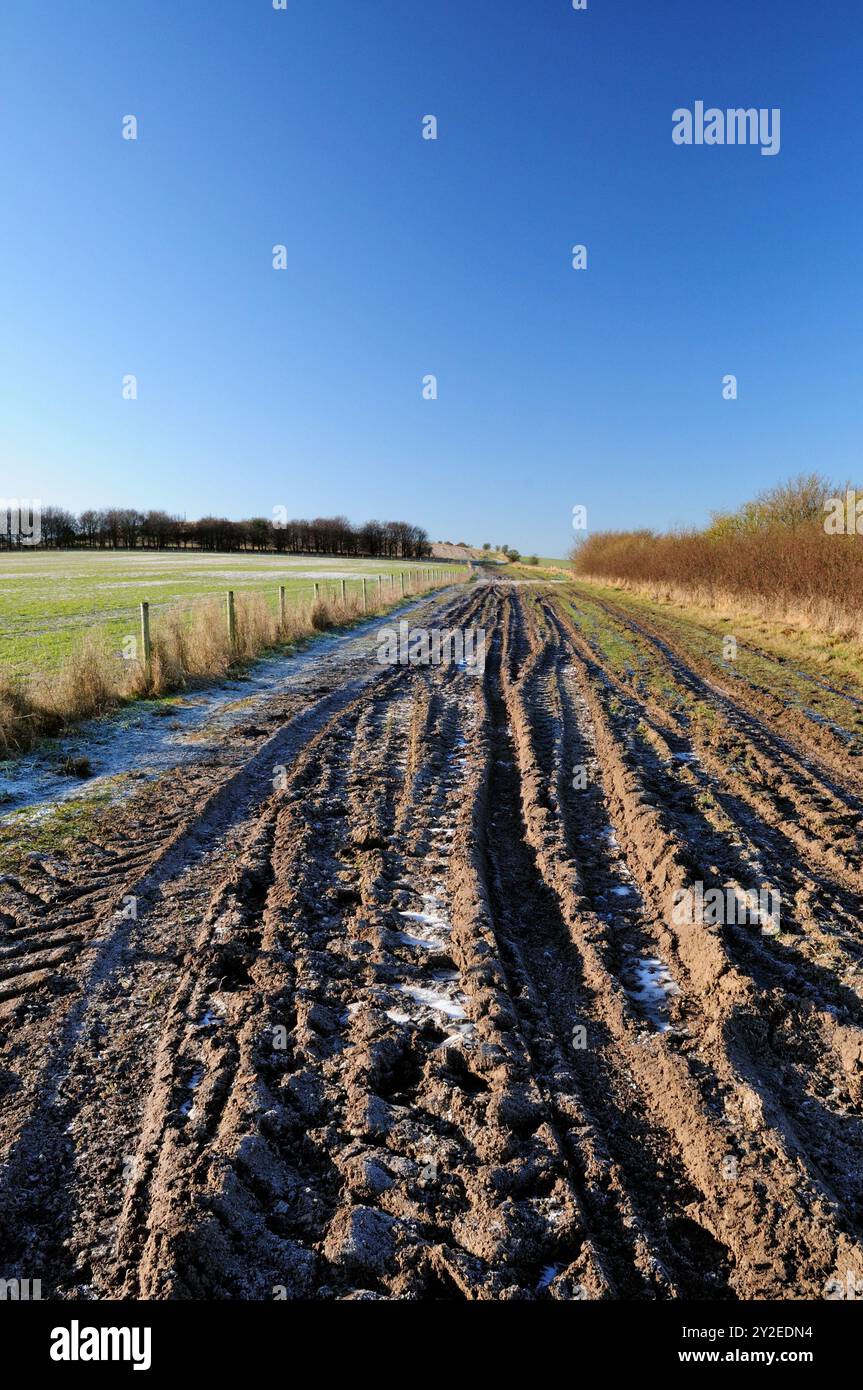 Frozen rutted tracks along a public byway on the Wiltshire Downs Stock ...