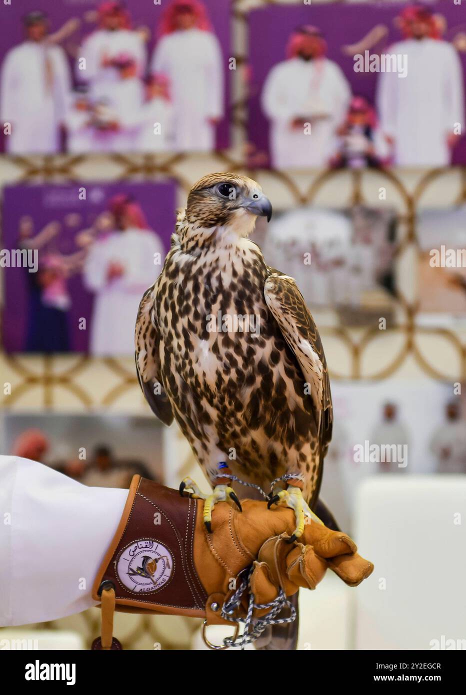 INTERNATIONAL HUNTING AND FALCONS EXHIBITION IN DOHA An Qatari ...