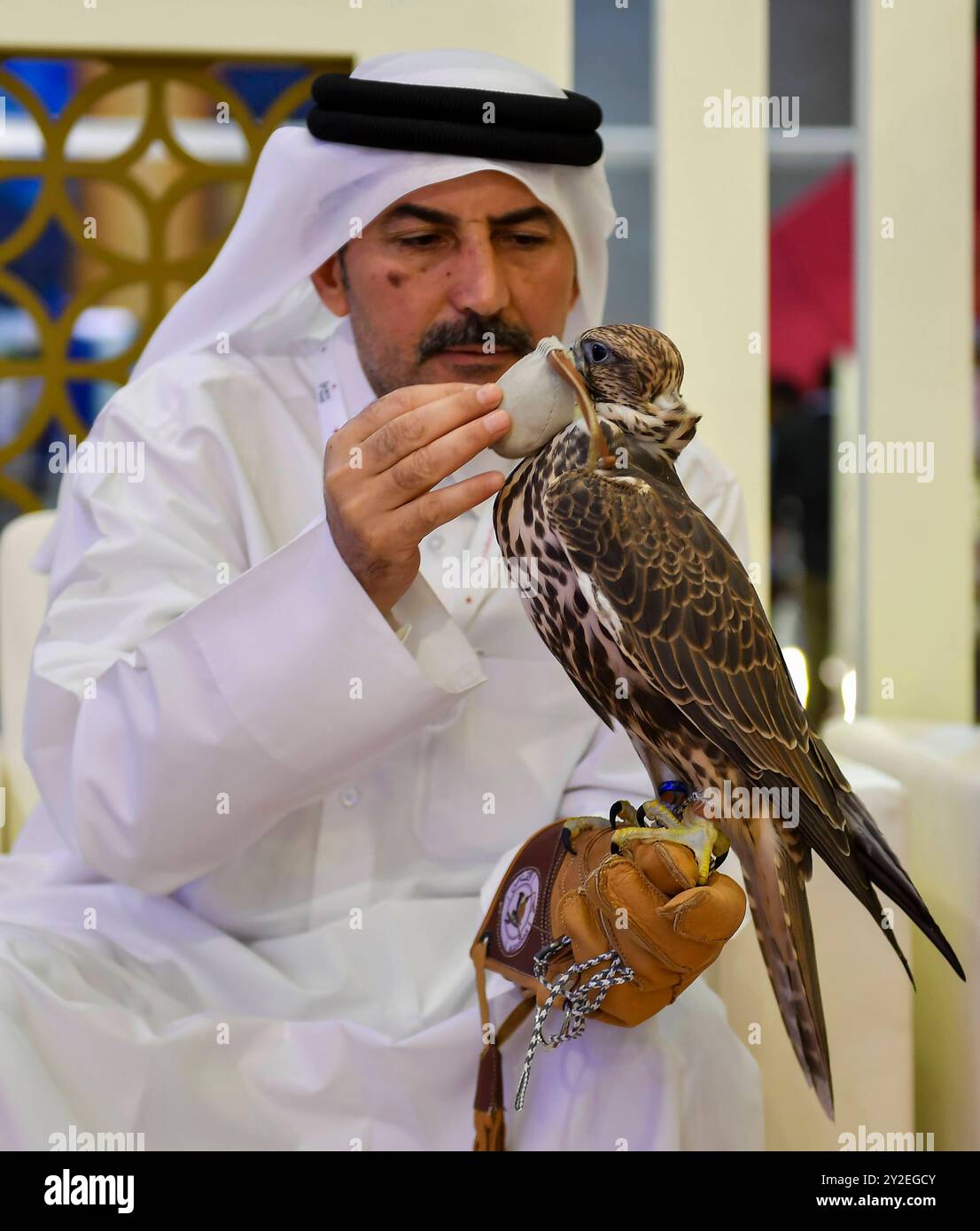 INTERNATIONAL HUNTING AND FALCONS EXHIBITION IN DOHA An Qatari ...