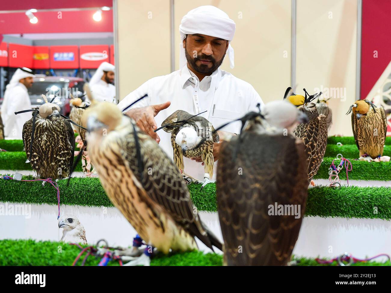 INTERNATIONAL HUNTING AND FALCONS EXHIBITION IN DOHA Visitors observe ...