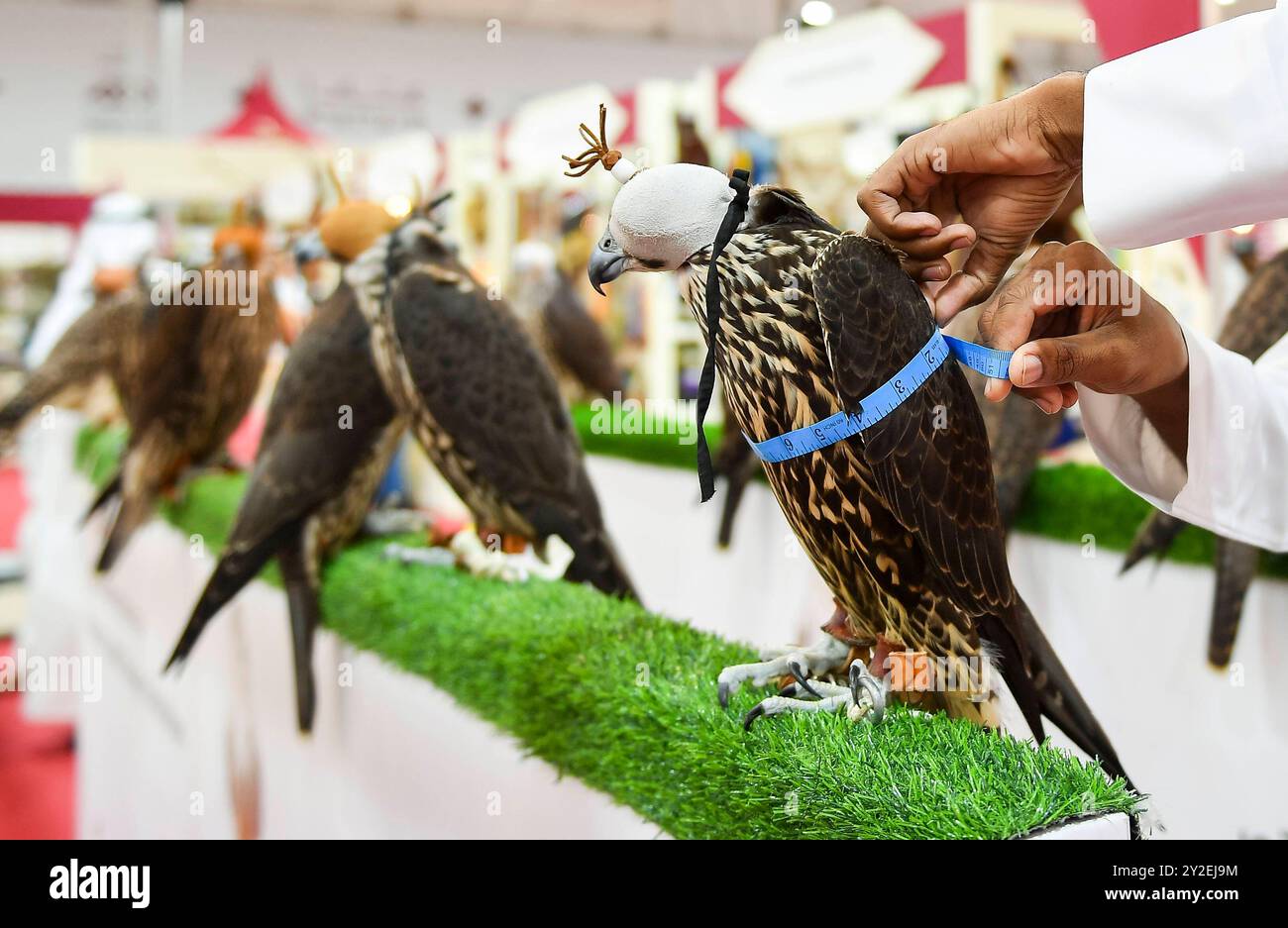 INTERNATIONAL HUNTING AND FALCONS EXHIBITION IN DOHA An exhibitor looks ...