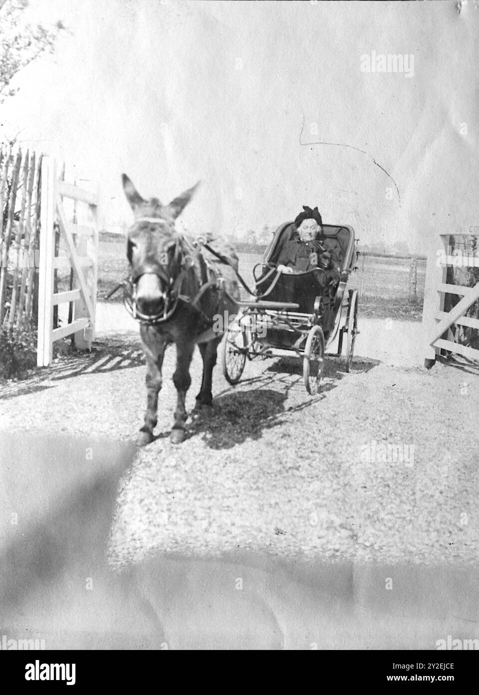From a damaged old photograph: Undated, Victorian: An elderly lady in a ...