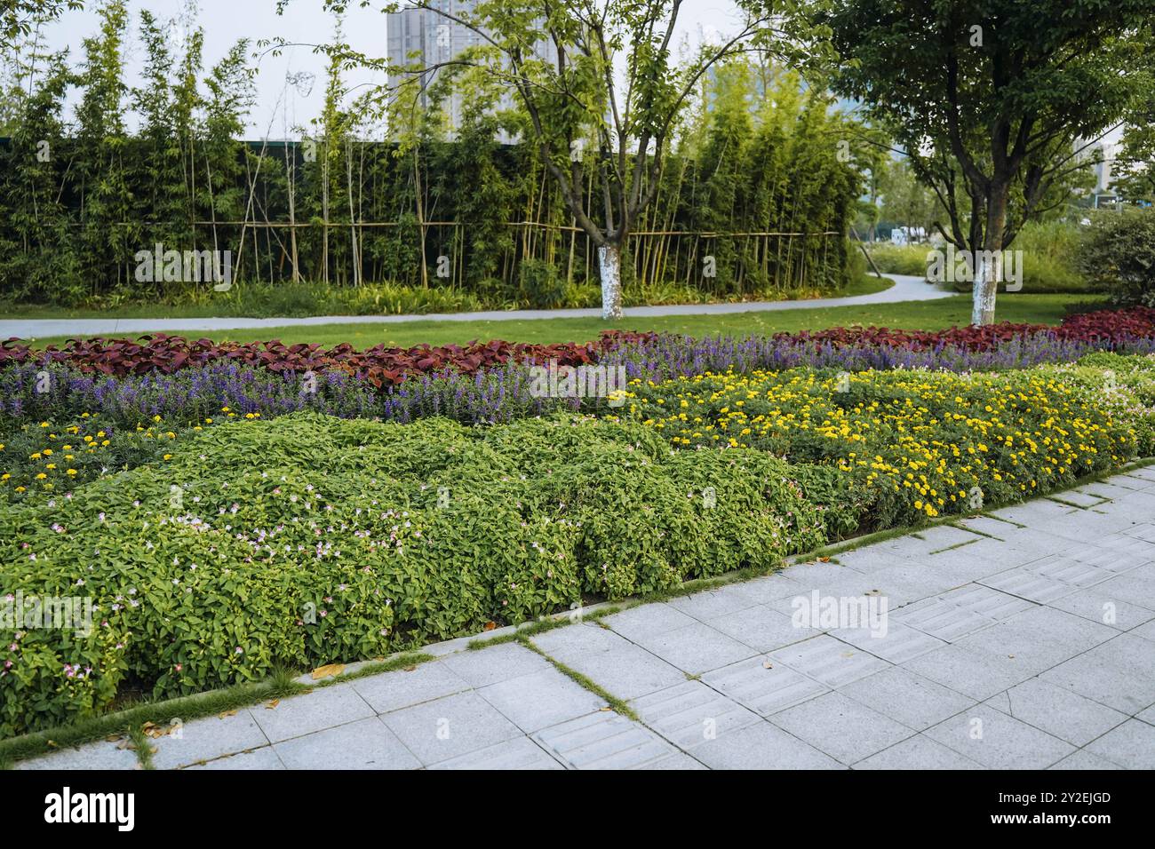 Landscape design with flowering plants in an urban environment. Urban ...