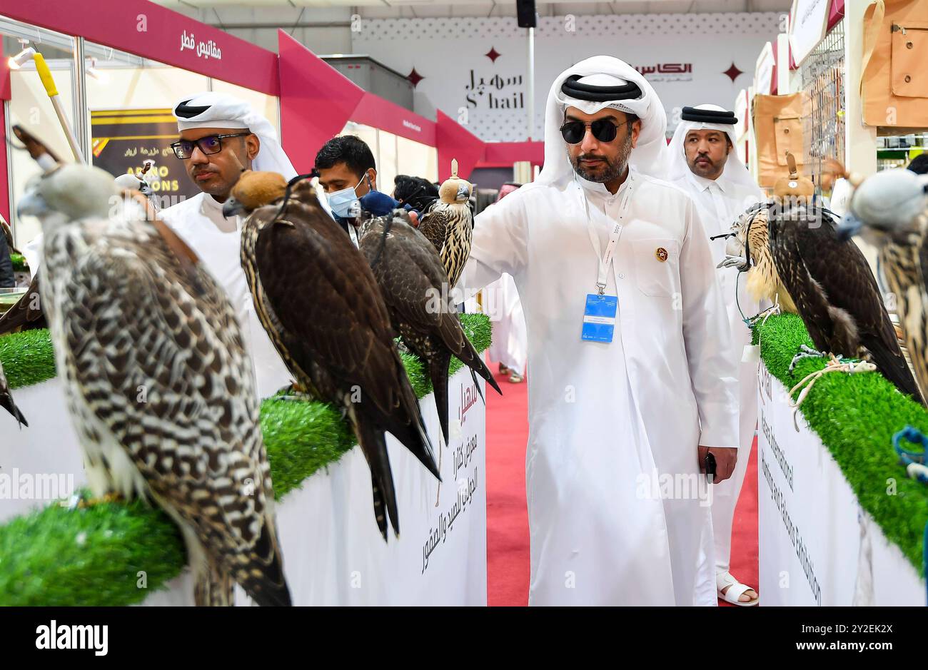 INTERNATIONAL HUNTING AND FALCONS EXHIBITION IN DOHA Qatari visitors ...