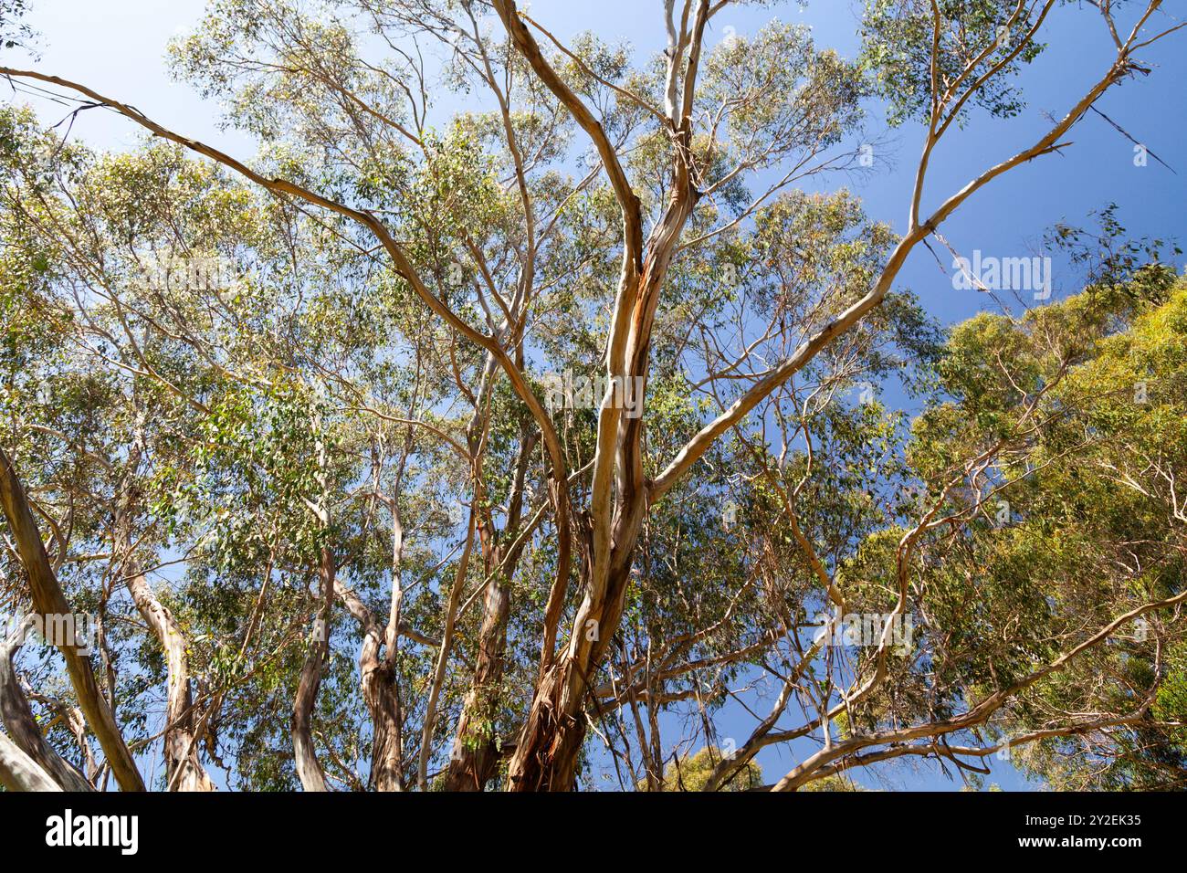 The popular tourist attraction of Hanging Rock. A volcanic group of ...