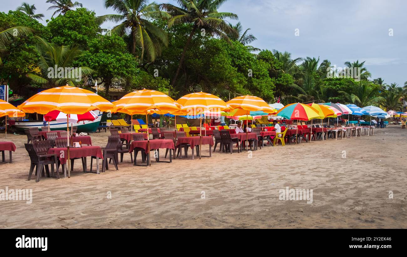 View of Arambol beach, North Goa. Arambol beach with palm trees, beach ...