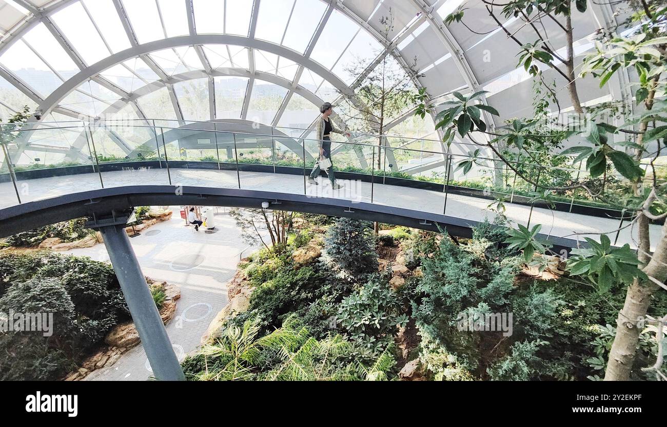 A tourist walks on a bridge inside the Alpine Plant Pavilion at the ...