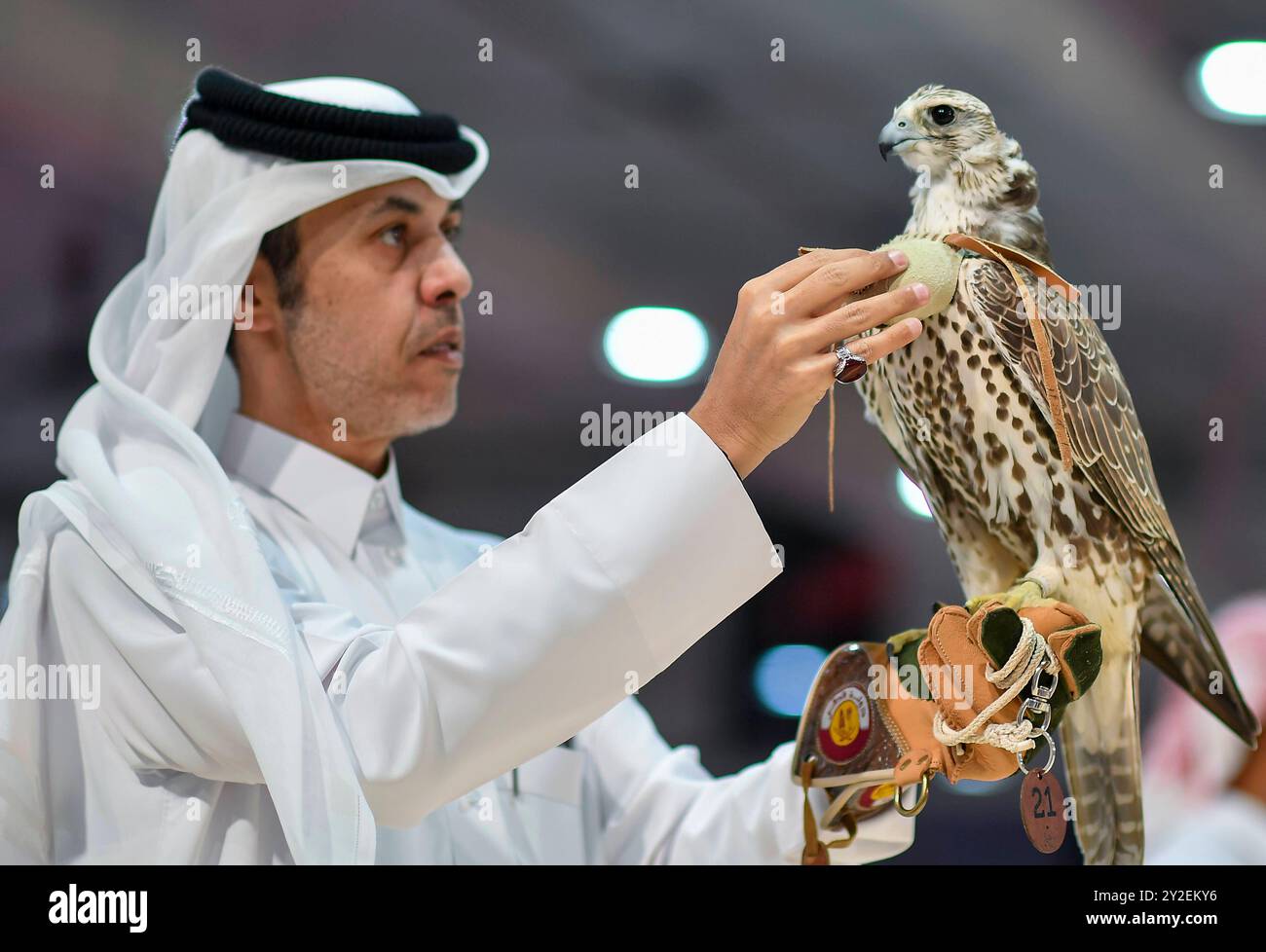 INTERNATIONAL HUNTING AND FALCONS EXHIBITION IN DOHA An exhibitor shows ...