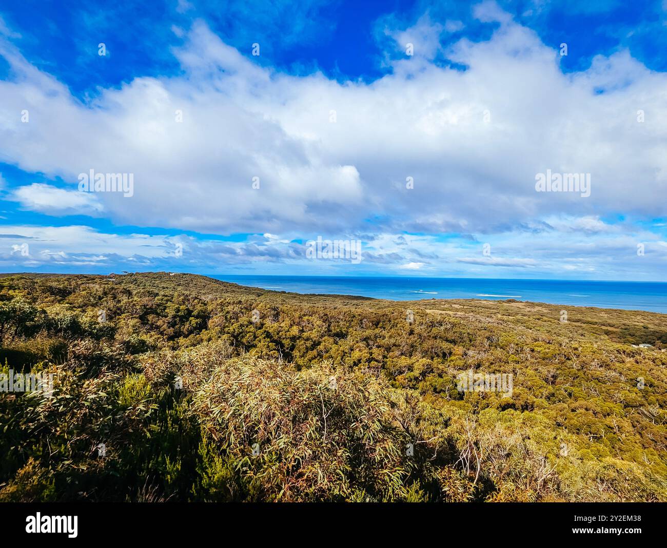 Anglesea Mountain Bike Park View in Australia Stock Photo - Alamy