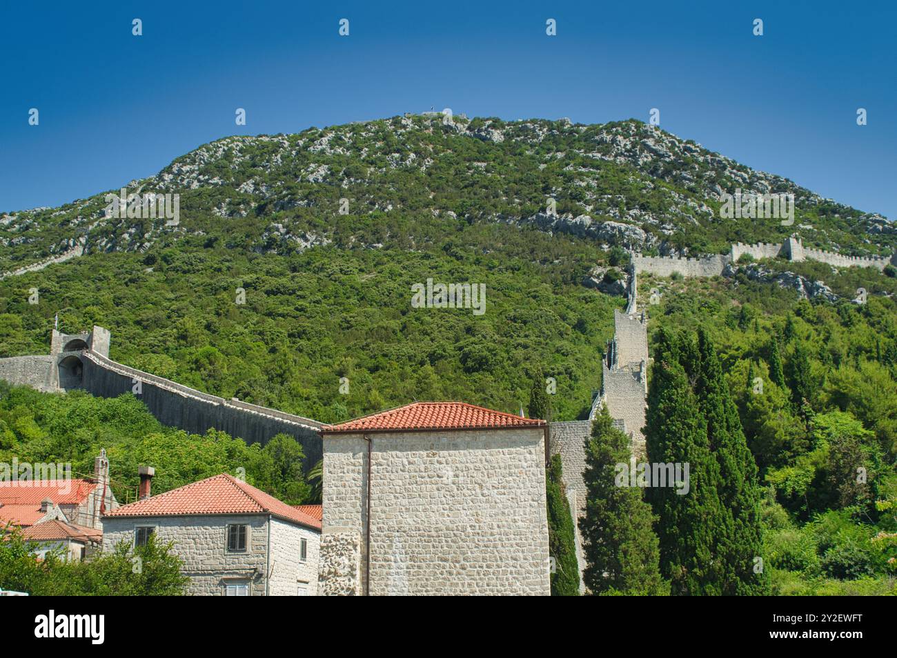 The historic medieval defensive walls and city buildings of Ston in ...