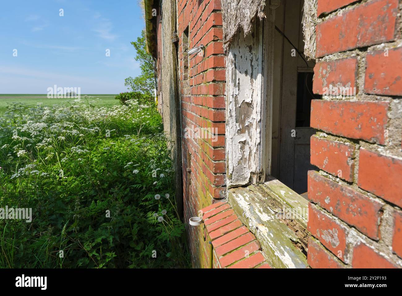 A dilapidated window frame of an abandoned farm with red bricks without ...