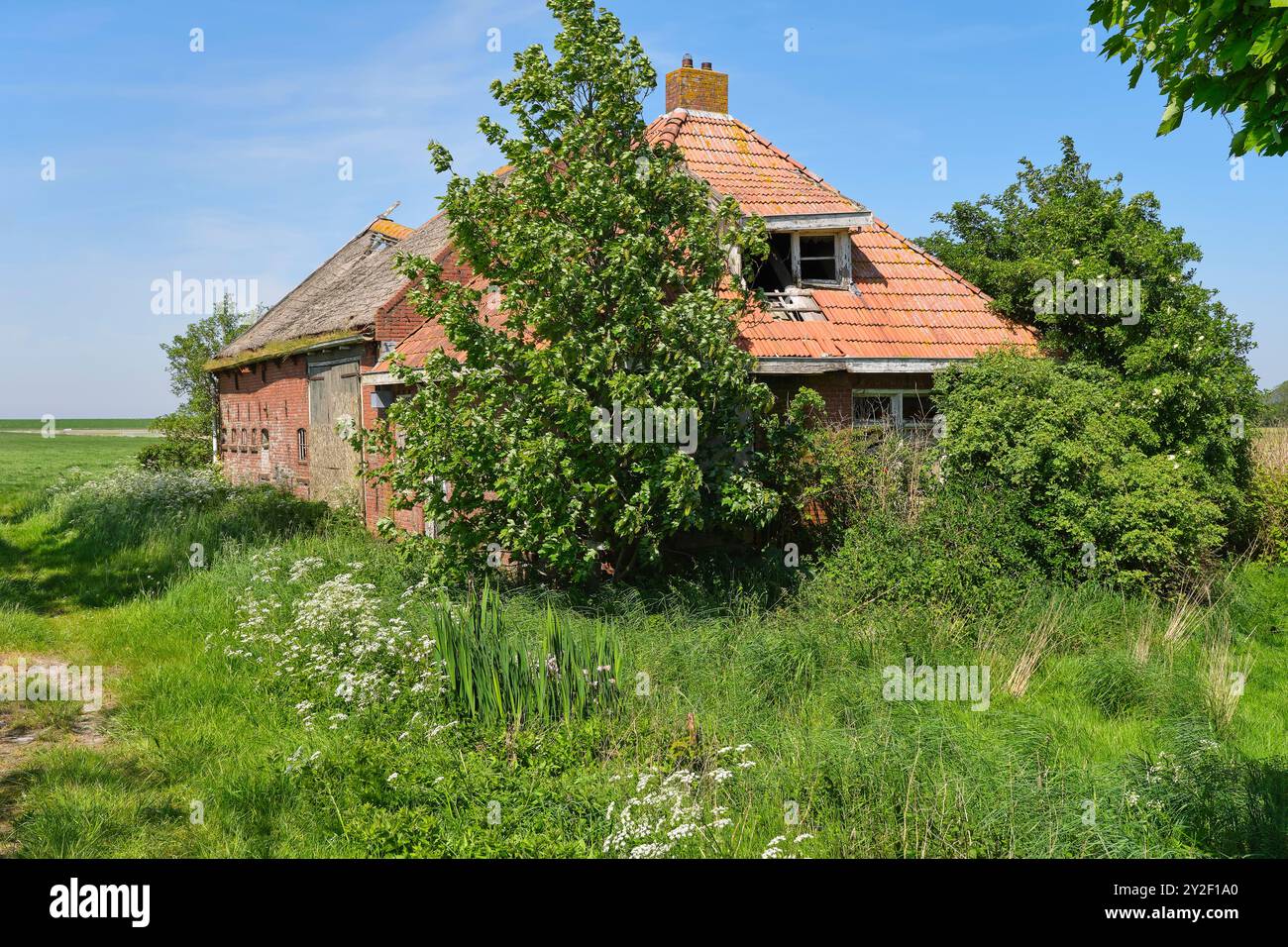 An abandoned and dilapidated farm house with red bricks and broken ...