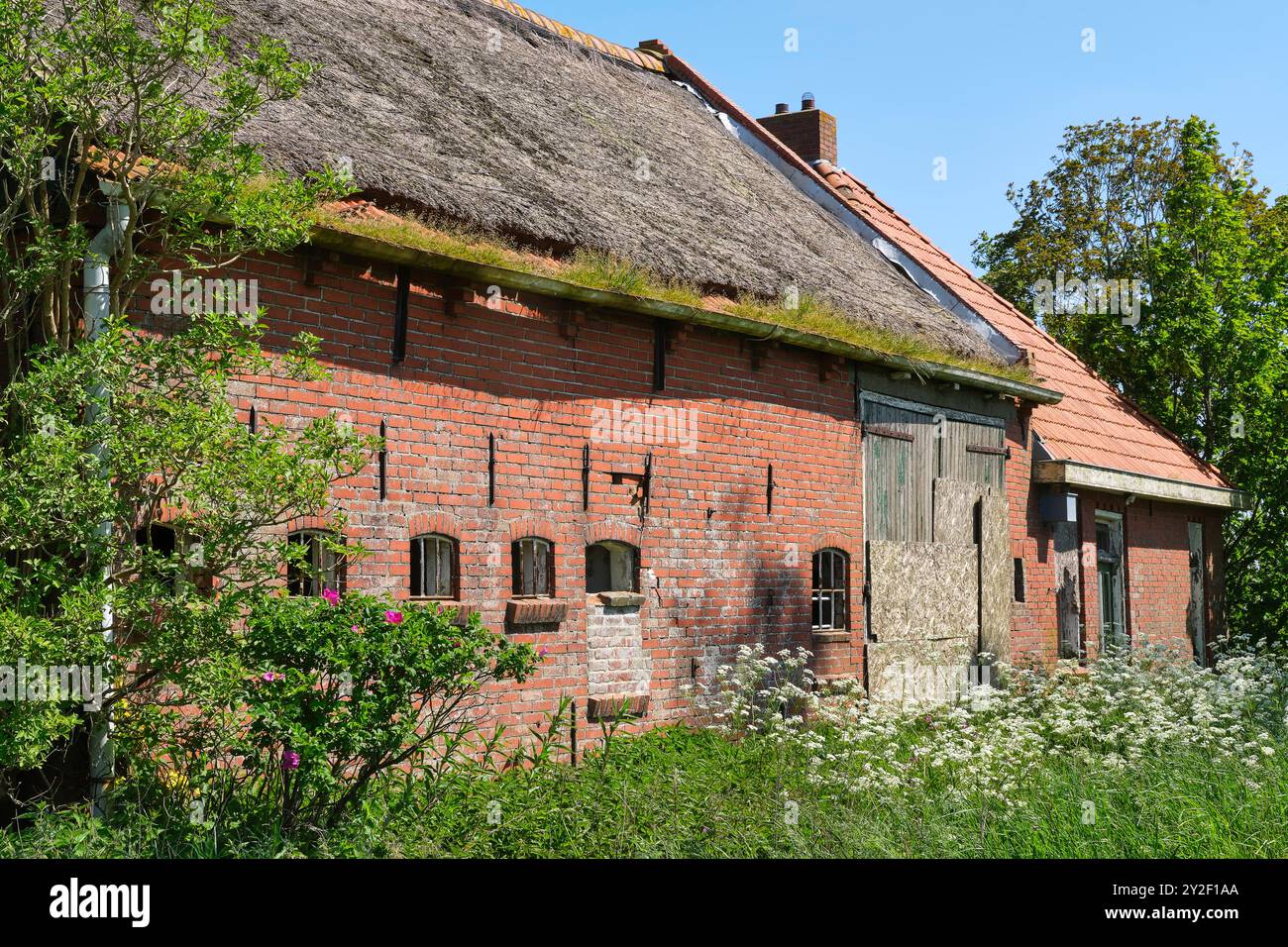 An abandoned and dilapidated farm house with red bricks and broken ...