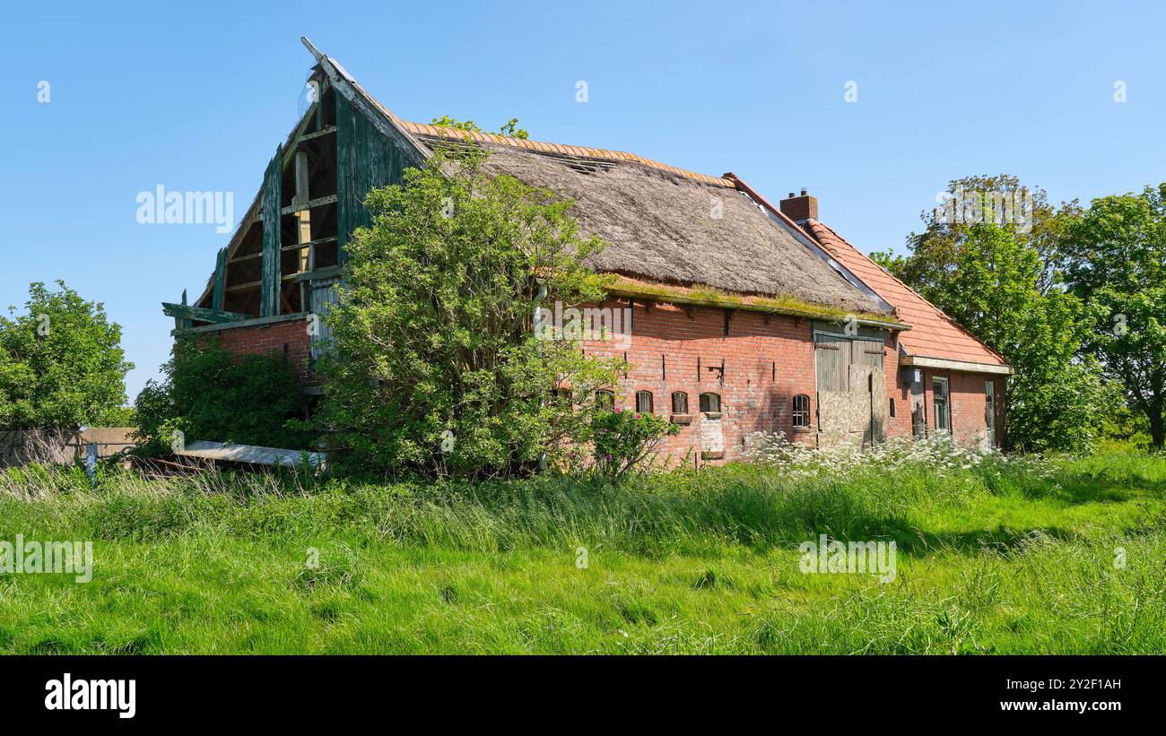 An abandoned and dilapidated farm house with red bricks and broken ...