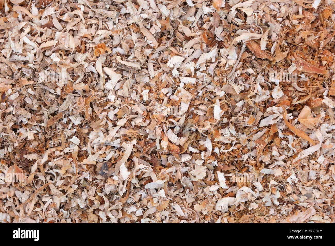 Sawdust or wood dust texture background. Brown wood saw dust and ...