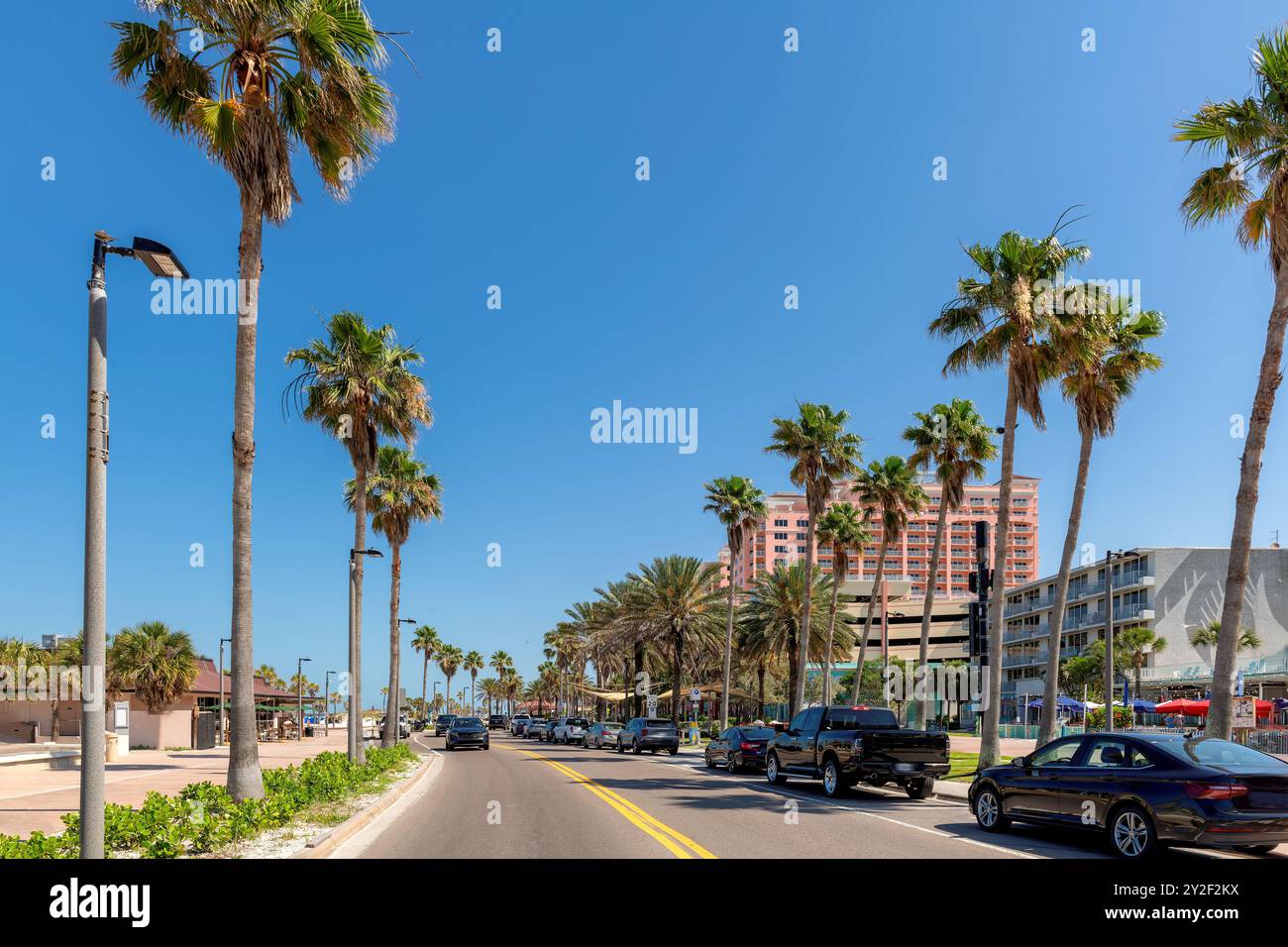 Palm trees in Clearwater beach street in sunny summer day, Scenic road ...
