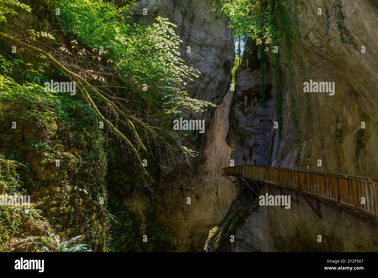Horma Canyon, Kure Mountains National Park, Kastamonu, Turkey. Wooden ...